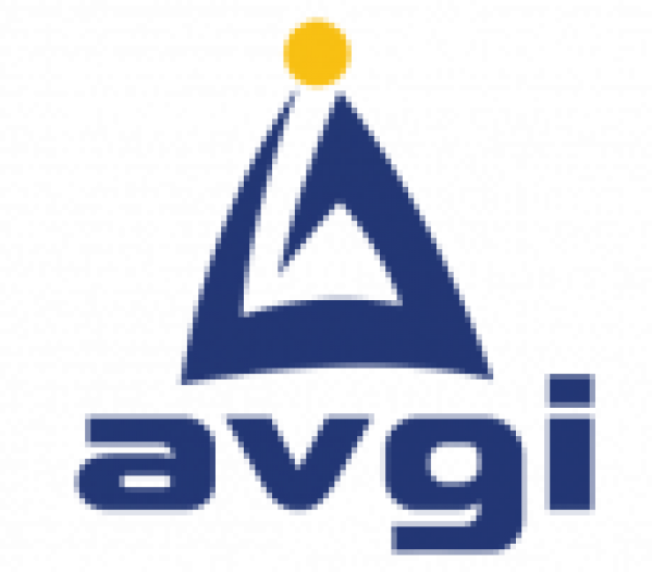 AVGI Solutions | Complete IT Solutions Company - Find Best Agencies ...