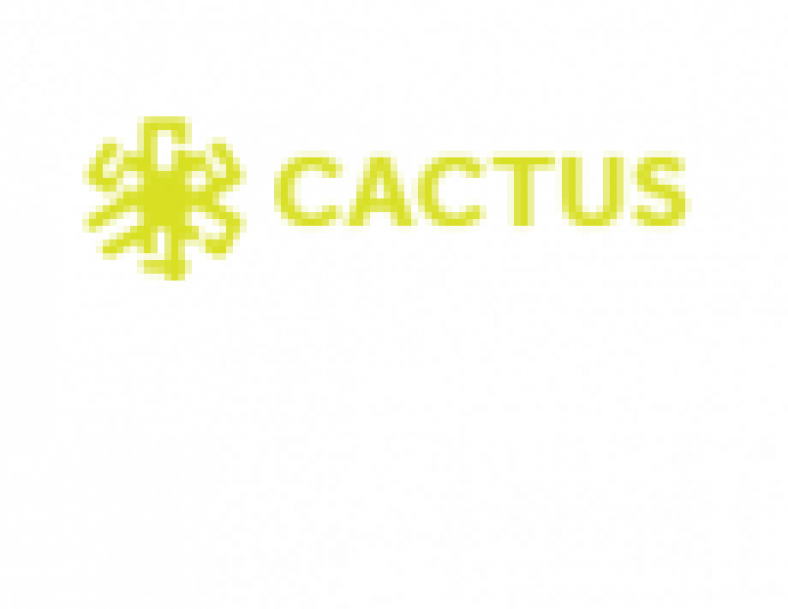 Cactus | Denver